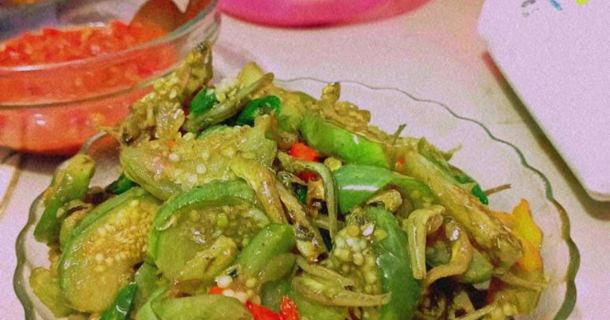 30 resep tumis terong hijau ayam enak dan mudah - Cookpad