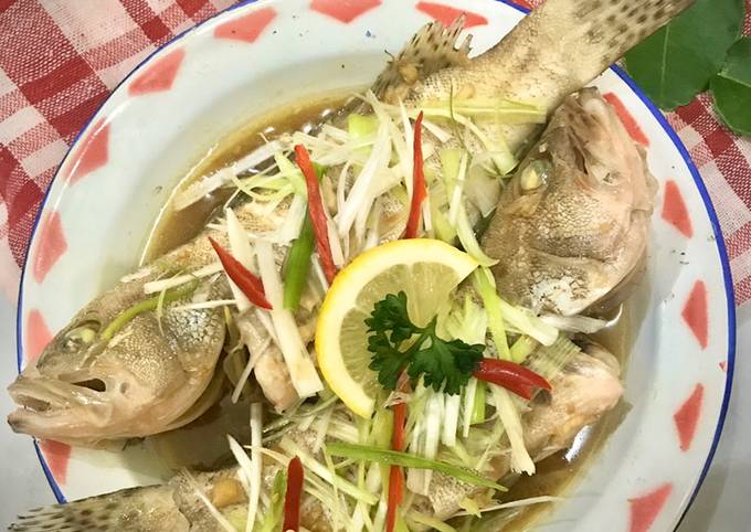 Resep Steam Ikan Kerapu oleh Ardhiya Puspita - Cookpad