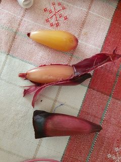 Piñones Como Snack (Y Cómo Cocinarlos) Receta de Patricia Quiroga ...