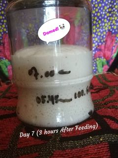 Resep Sourdough Starter / Ragi Alami oleh Isnawati - Cookpad