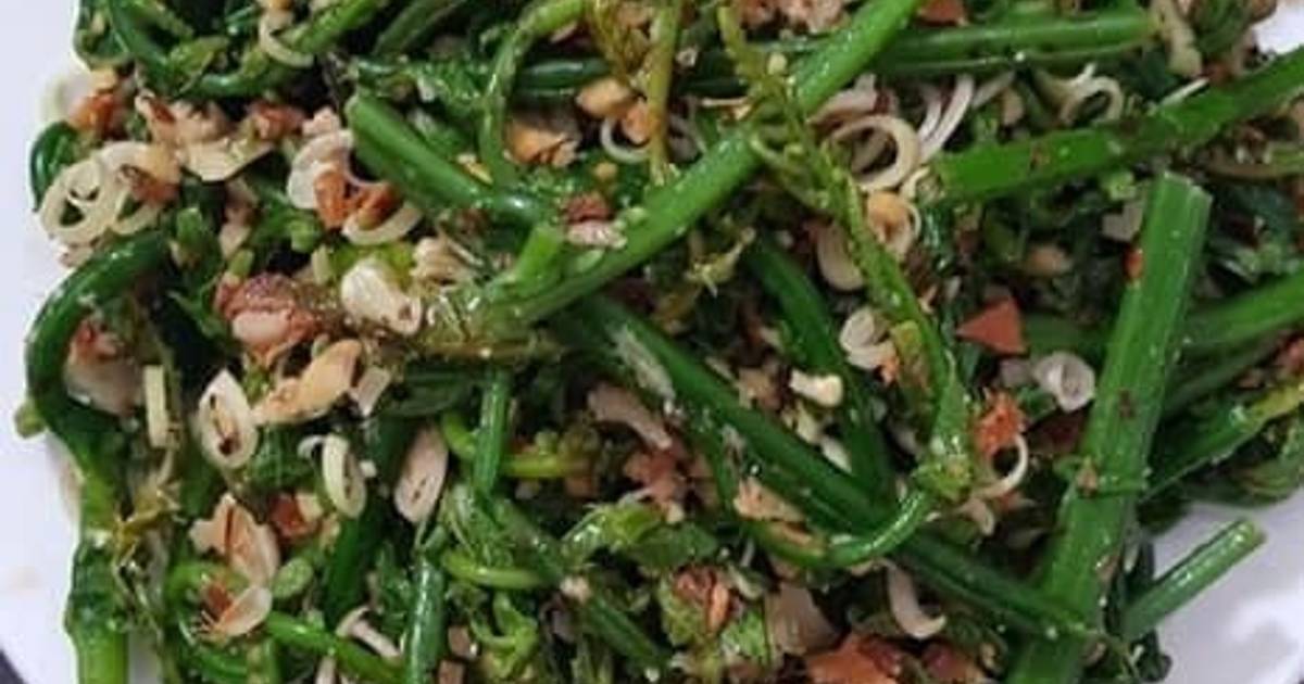 23 món rau dớn ngon miệng dễ làm từ các đầu bếp tại gia - Cookpad