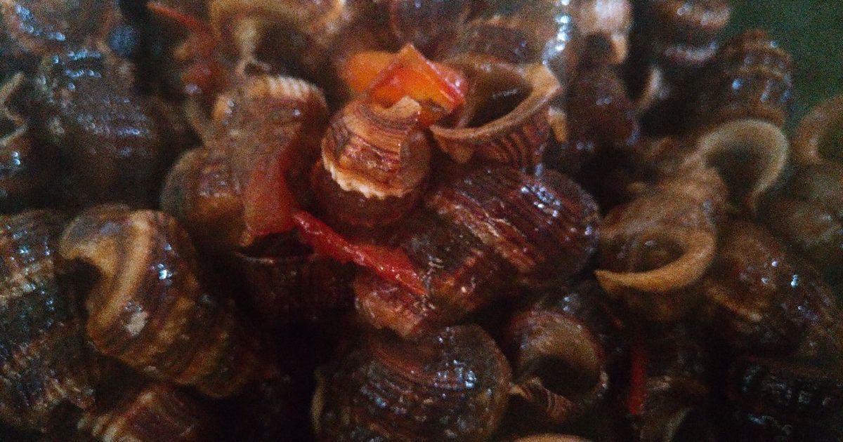 Resep Tengkuyung Saus Tiram Kecap oleh gula merica - Cookpad