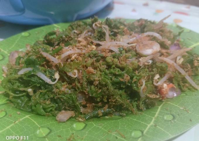 Resep Anyang Pakis khas Medan oleh Diandra - Cookpad