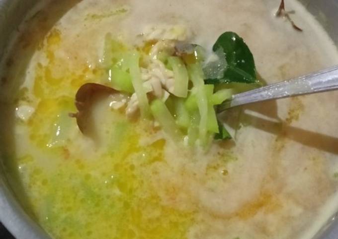 Resep Sayur lodeh labu siam, tempe oleh Maria Ulfa Arifin Dvm - Cookpad