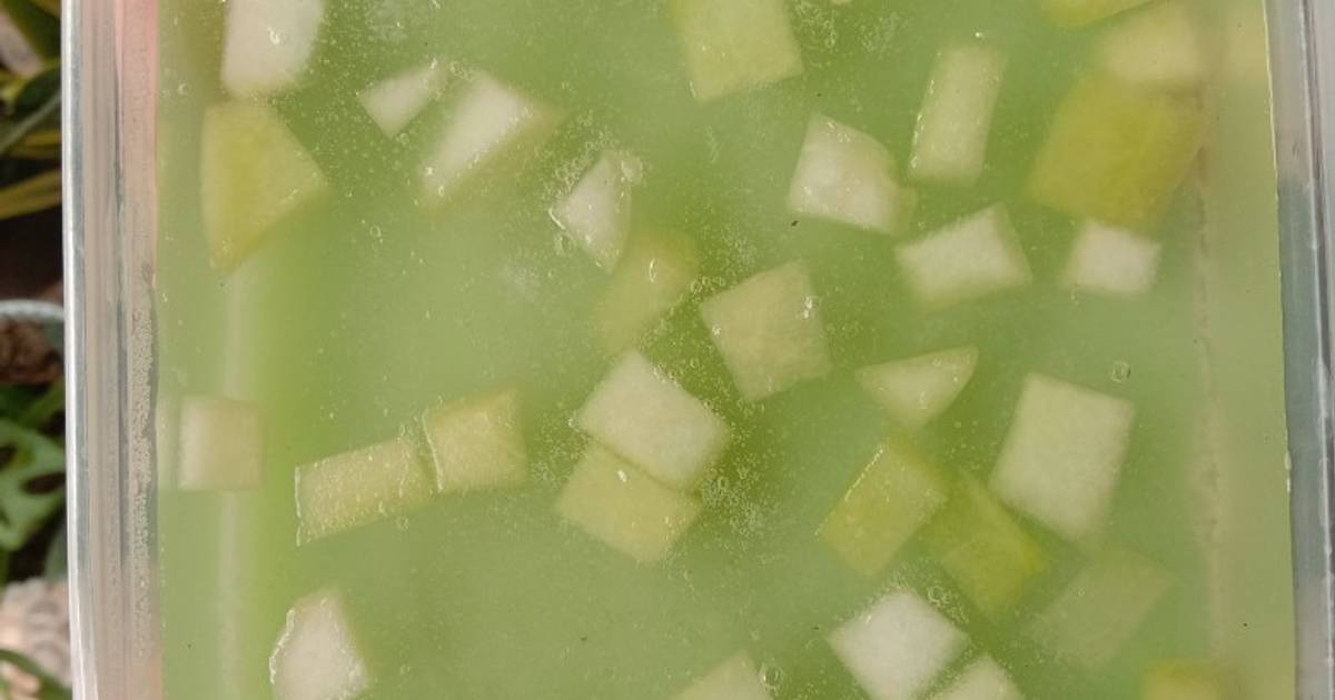 Resep Puding Melon oleh Resa Anasyah Putri - Cookpad