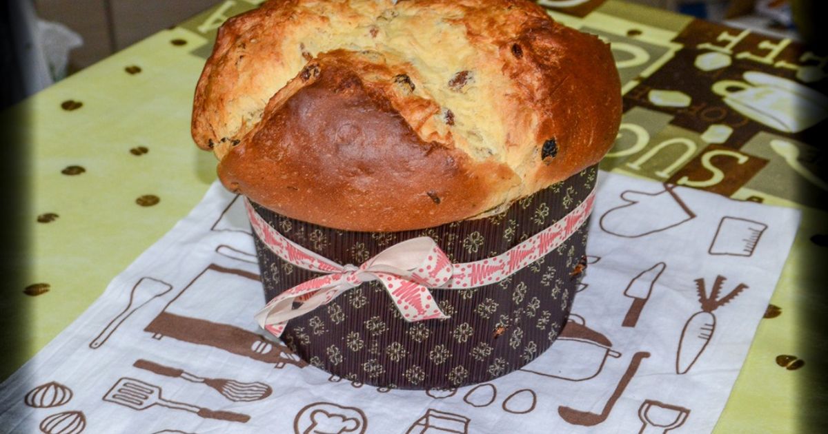 Homemade Panettone Recipe By Pierre E Vivy Noi Facciamo Tutto In Casa