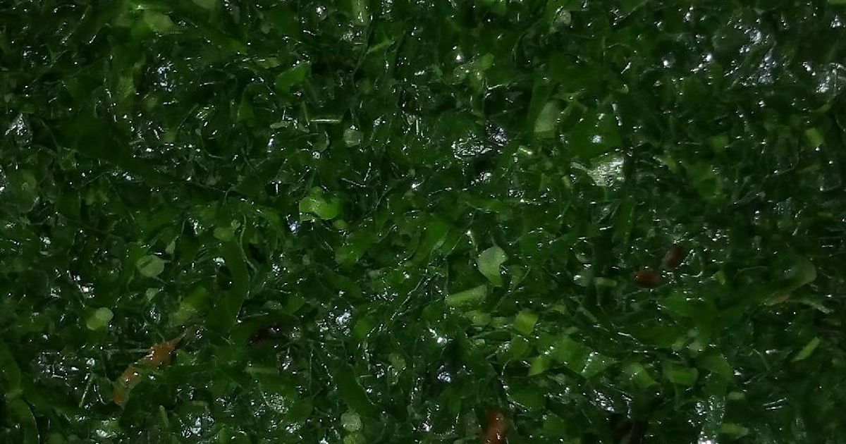 Fried Sukuma Wiki Recipe by Val - Cookpad