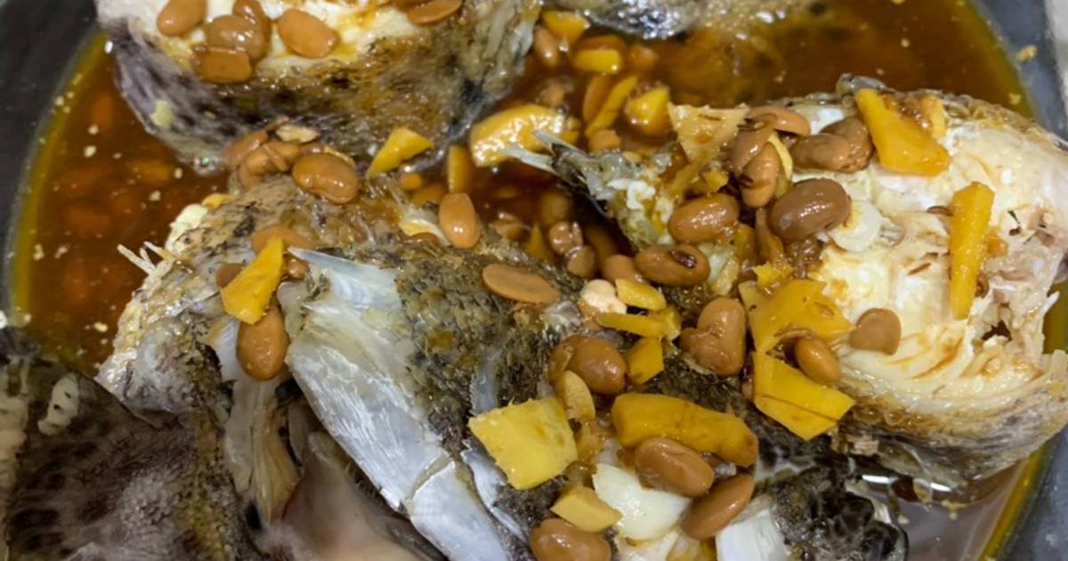 13 resep ikan kerapu steam tauco enak dan mudah - Cookpad