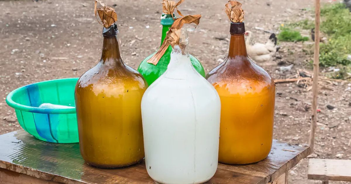 Urwagwa (Banana Beer)(Burundi) Recipe by Eva Saida - Cookpad