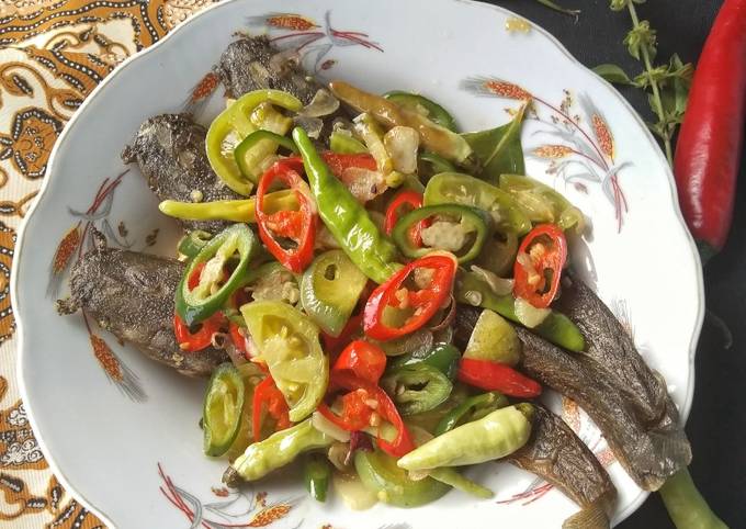 Resep Lele Cabe Hijau oleh Syifa_hana - Cookpad