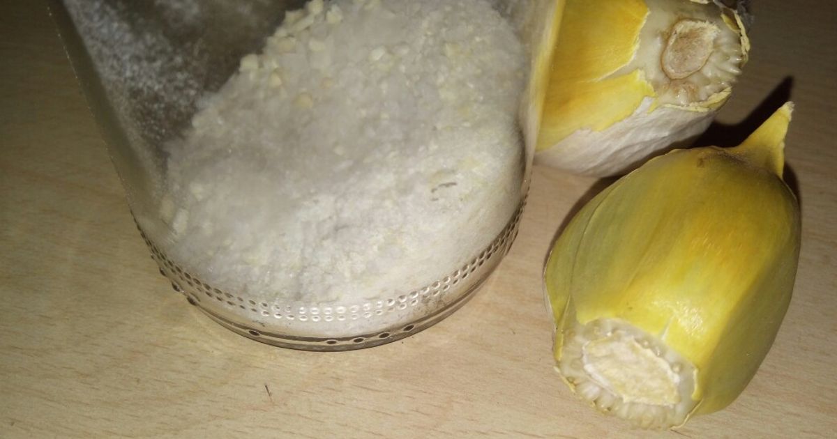 Sal De Ajo Receta de katly- Cookpad