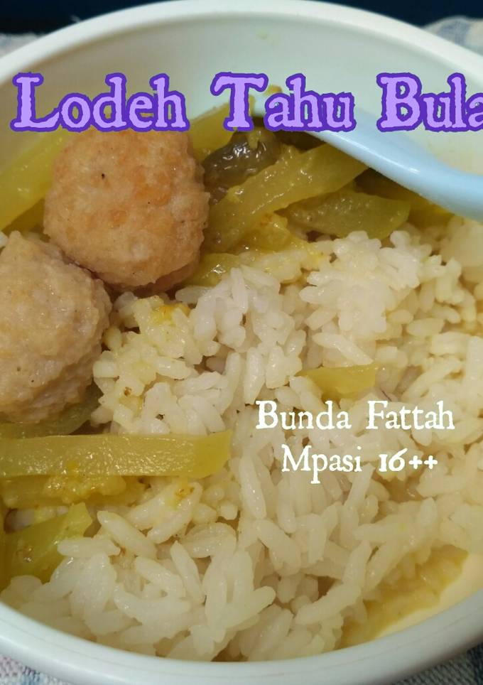 Resep 41. Sayur Lodeh Tahu Bulat | MPASI 🍲 oleh Bunda Nurul - Cookpad