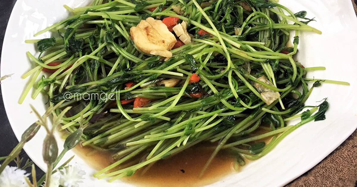 41 resepi taugeh hijau yang sedap dan mudah oleh komuniti cookpad - Cookpad