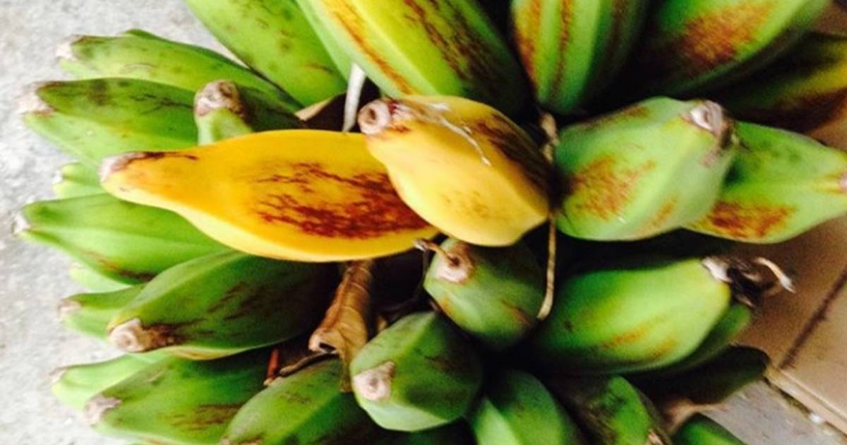 Resipi "Tips" Menyimpan Pisang Masak Tahan Lebih Lama oleh Aza Aaj ...