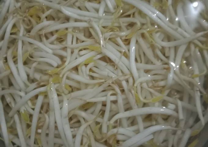 Resep Cara menyimpan toge oleh Dapur Sehat AS - Cookpad