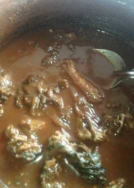 Iguana - 5 recetas caseras- Cookpad