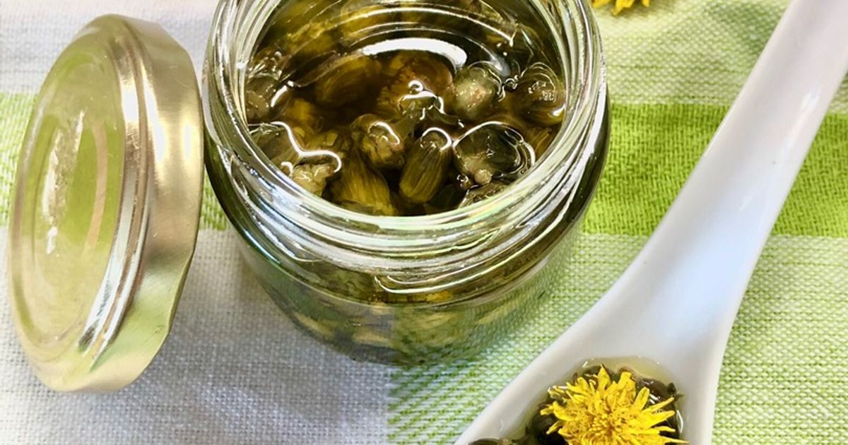 Ricette con il tarassaco: Idee facili e gustose
