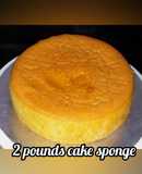 Fluffy & irresistible sponge cake recipes to try