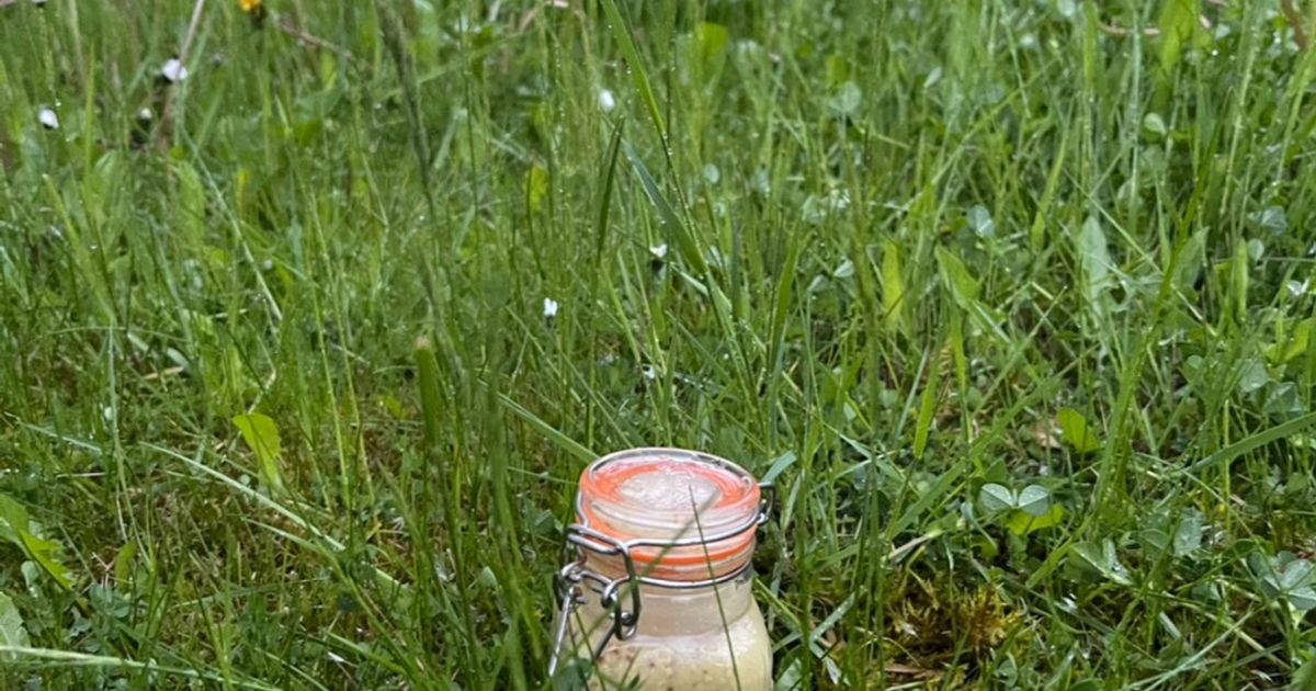 Dandelion Honey And Mustard Vinaigrette #2flavours Recipe by Rachel ...