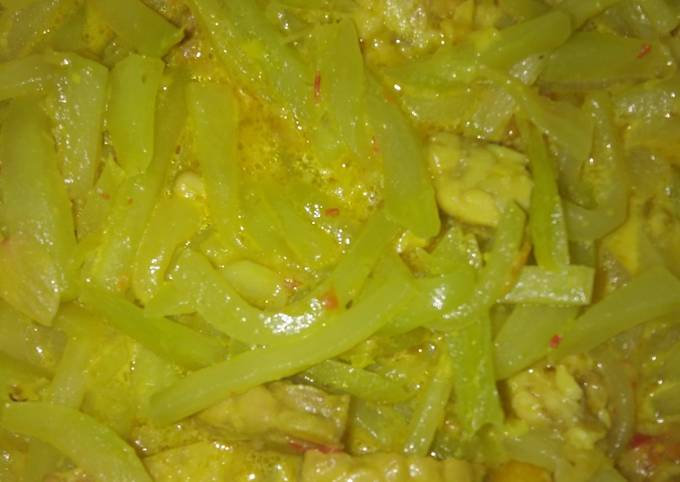 Resep Sayur labu Siam tempe kuah santan oleh Tri Janah - Cookpad