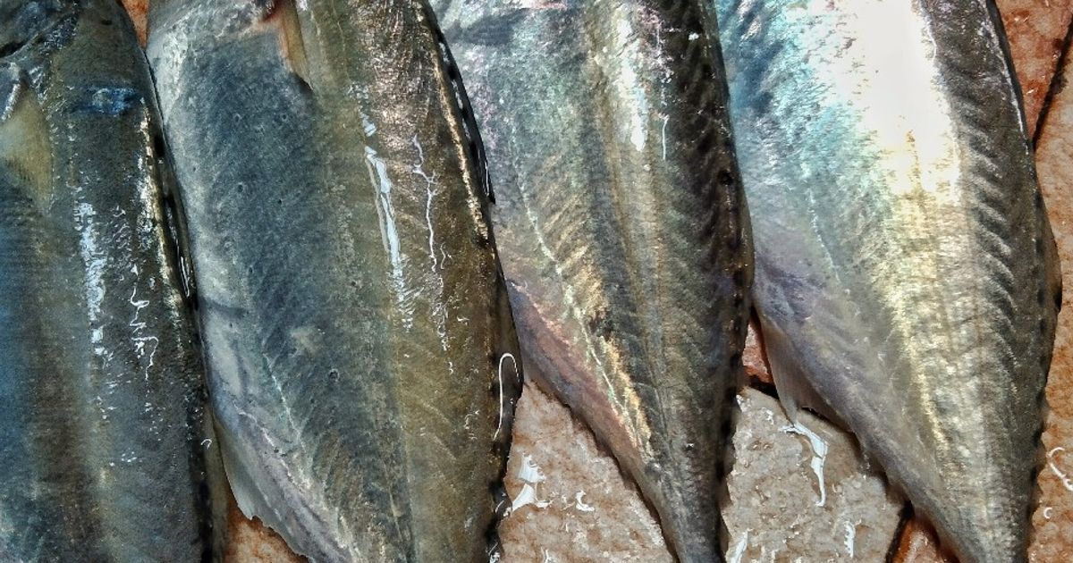 Resipi Perbezaan Ikan Kembung Dan Ikan Selar oleh Ziana Chesaad - Cookpad
