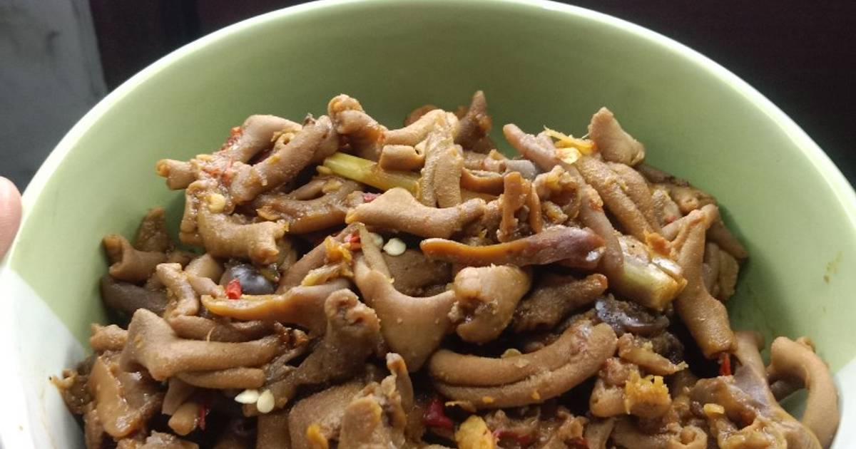 Resep Usus Ati Ampela Kecap Oleh Lia Andani Cookpad