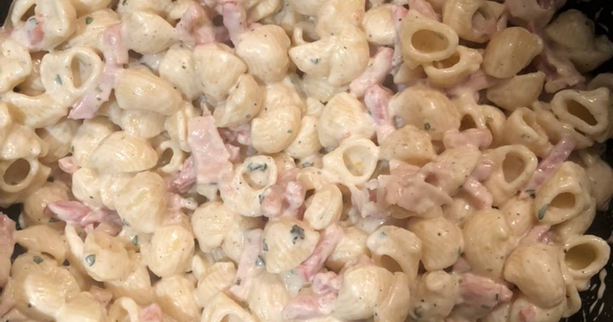 Recetas con pasta tiburón creativas y fáciles