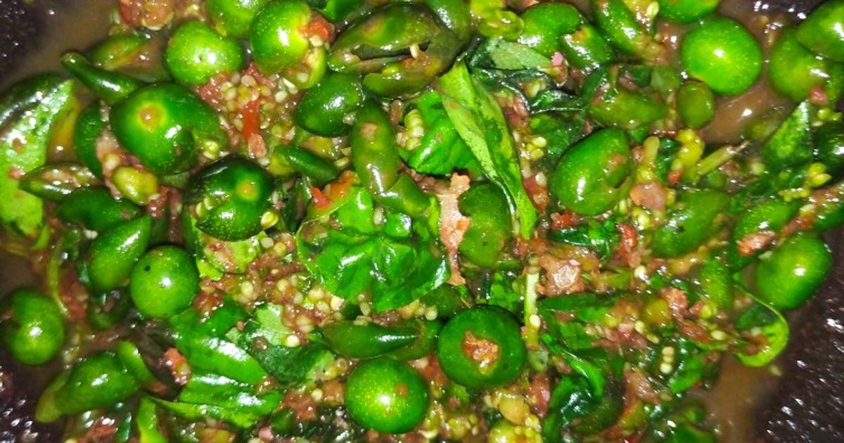 Resep Karedok Leunca oleh Latifah Nurul Fauziah - Cookpad