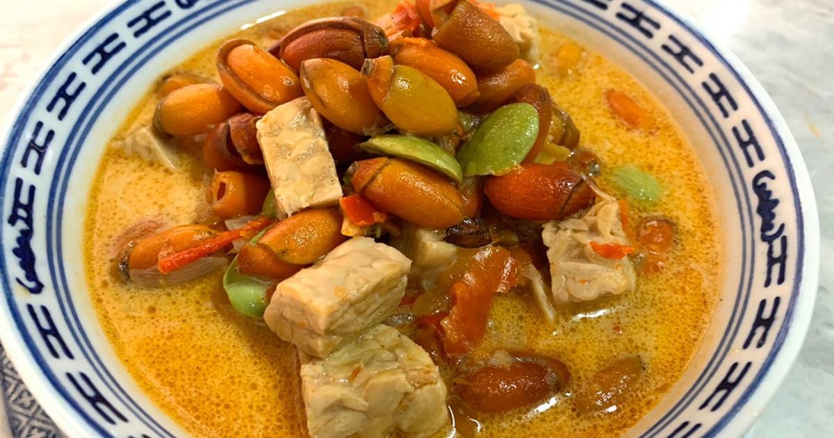 Resep Lodeh kulit melinjo oleh Melisa Winatamarjito - Cookpad