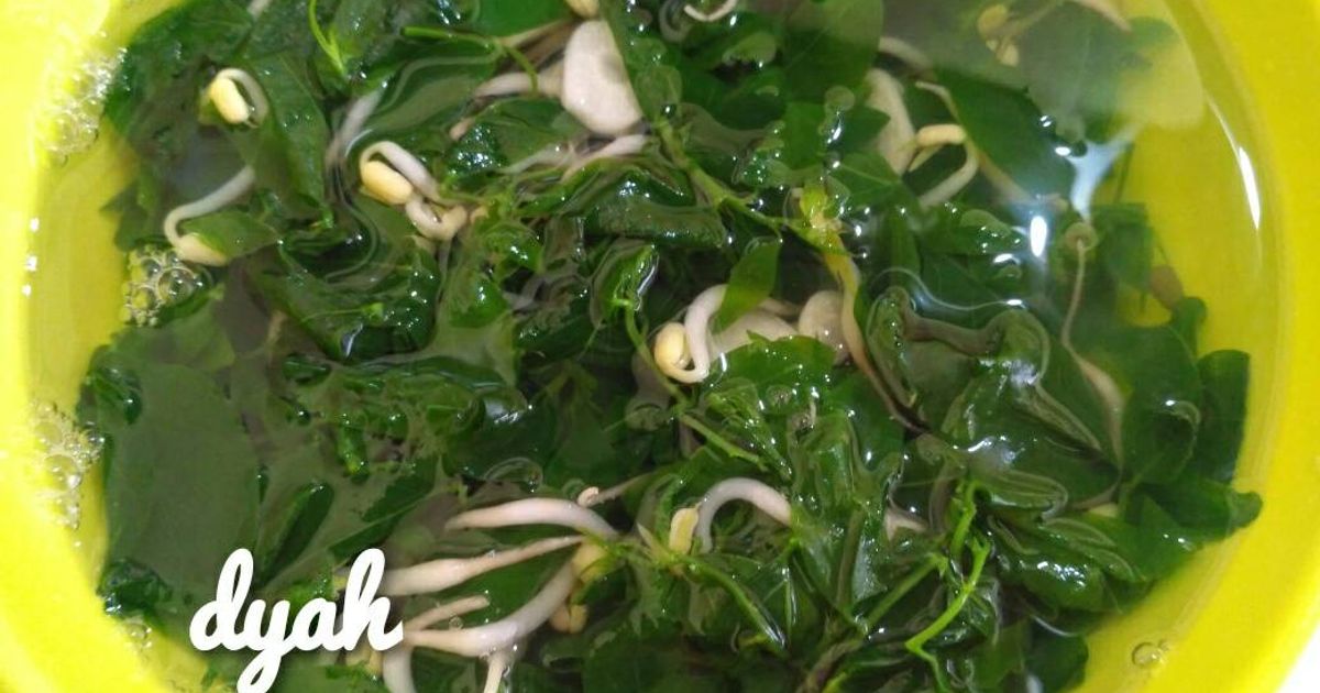 Resep Sayur Daun Katu oleh DyahAyuPutriani "dhee Kitchen" - Cookpad