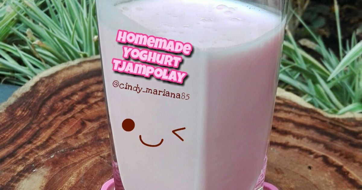 Resep Yoghurt Homemade Dua Bahan oleh Cindy Mariana - Cookpad