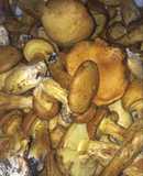 hongos de eucalipto a la provenzal - recetas caseras- Cookpad