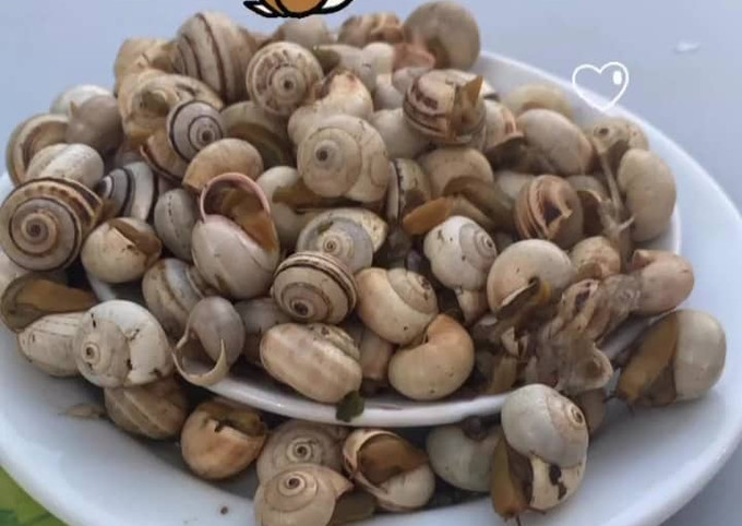 Caracois De Agua