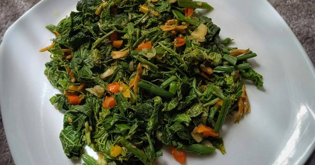 530 resep daun pucuk labu enak dan mudah - Cookpad