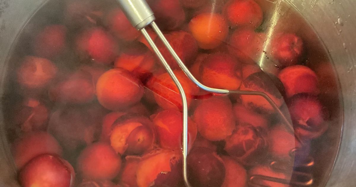 California Farm Plum Wine & Cider Recipe By Hobby Horseman