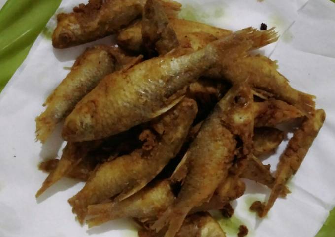 Resep Ikan wader goreng crispy oleh 🍴 Bad Cooking🍹 - Cookpad Resep Ikan wader goreng crispy oleh 🍴 Bad Cooking🍹 - Cookpad
