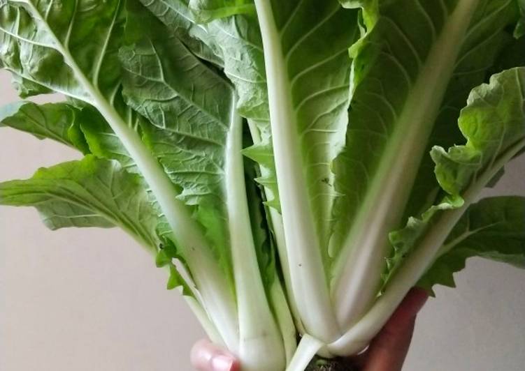 Resep Tumis samhong oleh Herlin Marda - Cookpad