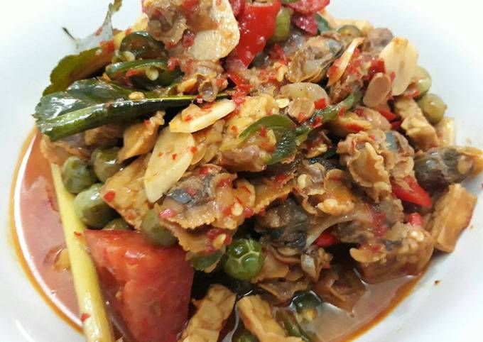 Resep Tauco Kerang oleh Ratih - Cookpad