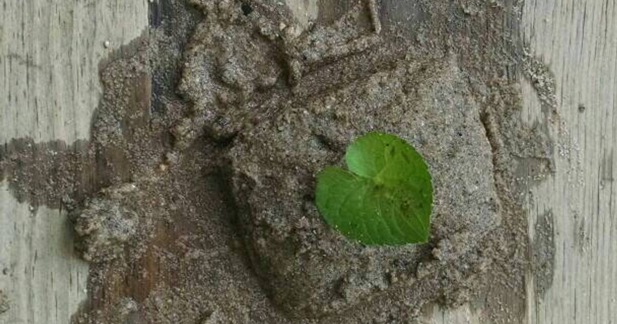 Sand Pie Recipe by Lila - Cookpad