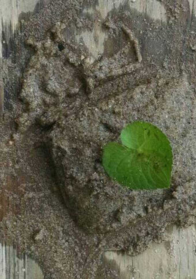 Sand Pie Recipe by Lila - Cookpad