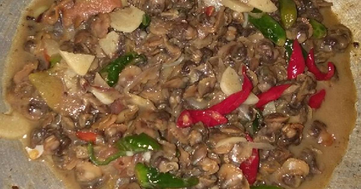 24 resep olahan kerang dengan kulit enak dan mudah - Cookpad