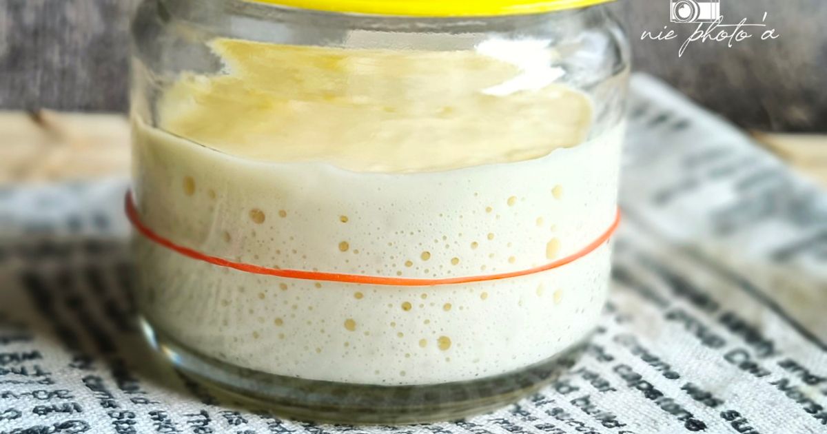 Resep Starter Sourdough / Ragi Alami oleh Nuniek Wijayanti - Cookpad