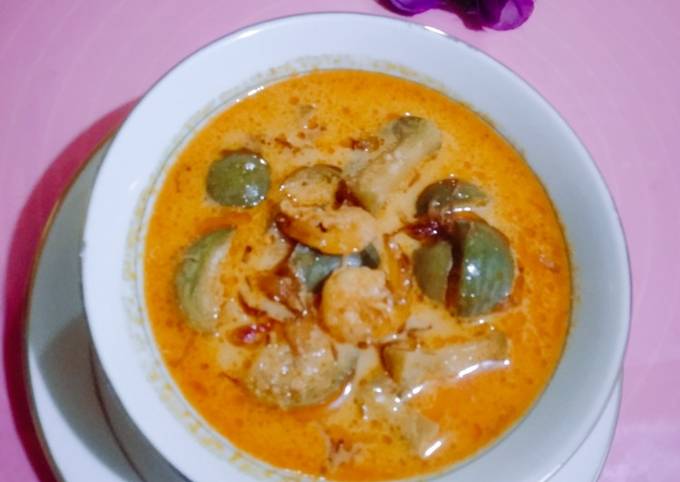 Resep Sayur terong kecil oleh Dyah Wahyu Sulistiani - Cookpad