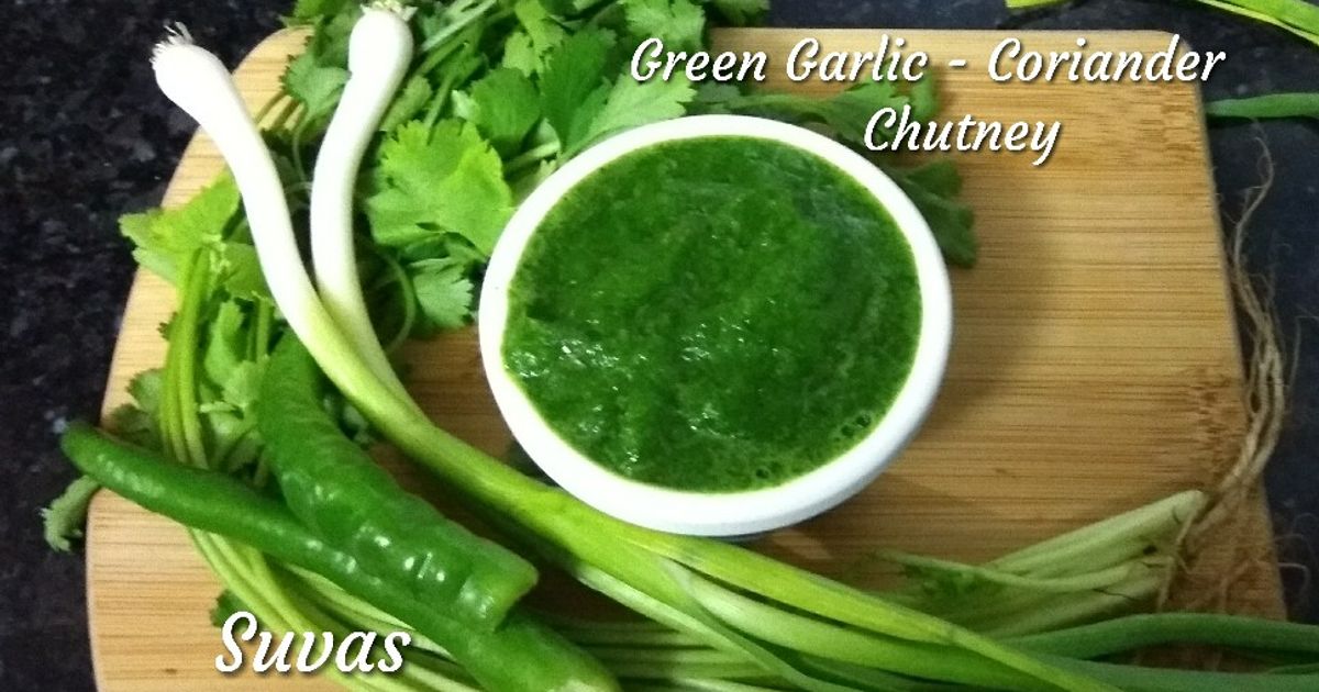 Green Garlic Coriander Chutney Recipe by Suvas Shah - Cookpad