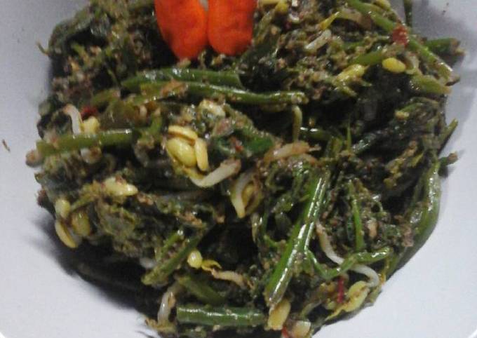 Resep Anyang pakis tauge ala mimi lia oleh lia rulliadi - Cookpad