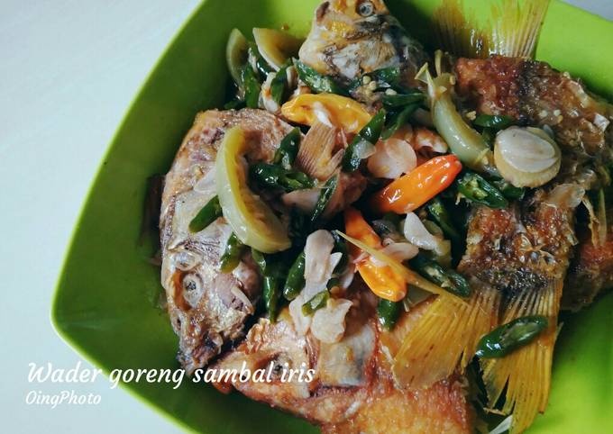Resep Wader Goreng Sambal Iris oleh Umatul Choiriya - Cookpad