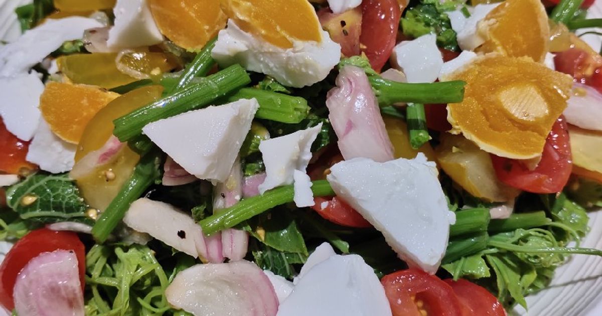 Explore Unique Sayote Recipes For Every Meal