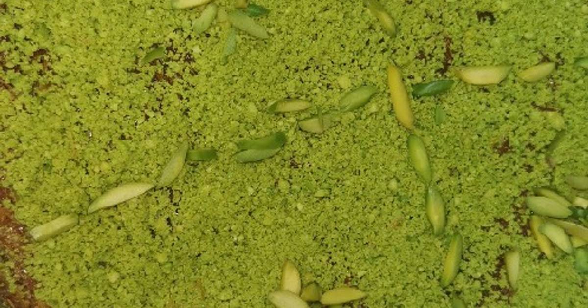 1,660 easy and tasty arabic recipes by home cooks - Cookpad