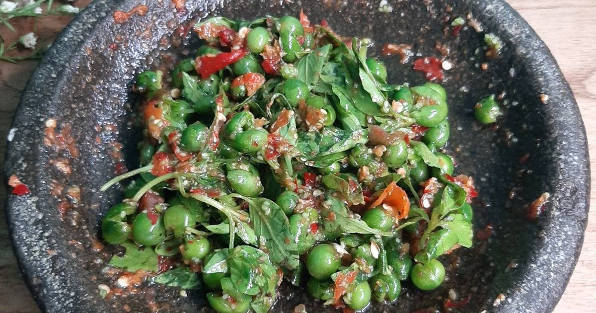 143 resep karedok leunca enak dan mudah - Cookpad