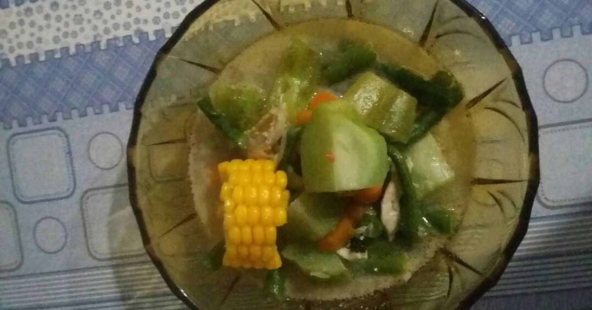 Resep Sayur Lodeh Ayam Suir oleh rameyza elya - Cookpad